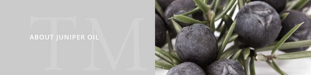 About Juniper Oil - Juniper Scalp Therapy - TM Juniper Scalp Therapy
